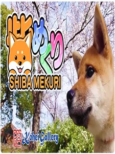 Shiba Mekuri En Ucuz Satın Al